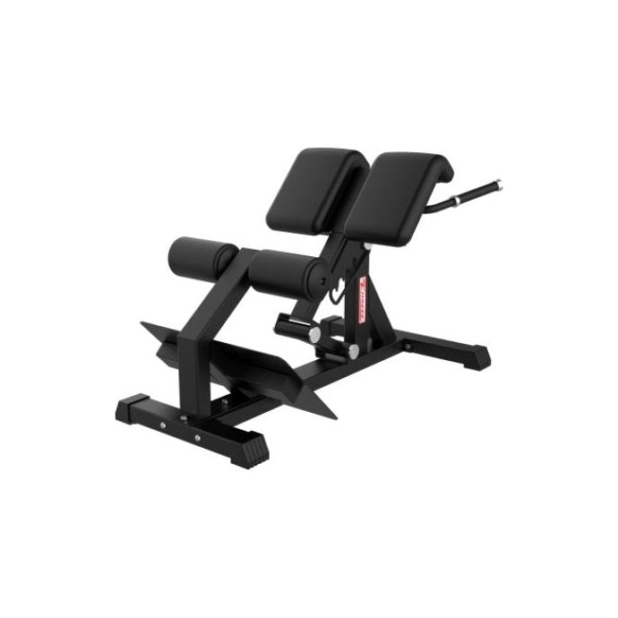 SFE Commercial Roman Chair – Sports & Fitness Exchange